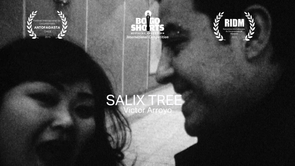 Salix Tree - Victor Arroyo